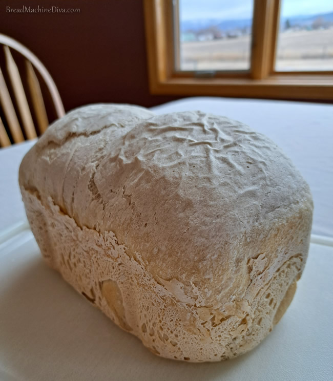 Prepared Pantry Italian Country Bread Machine Mix Review | Bread ...
